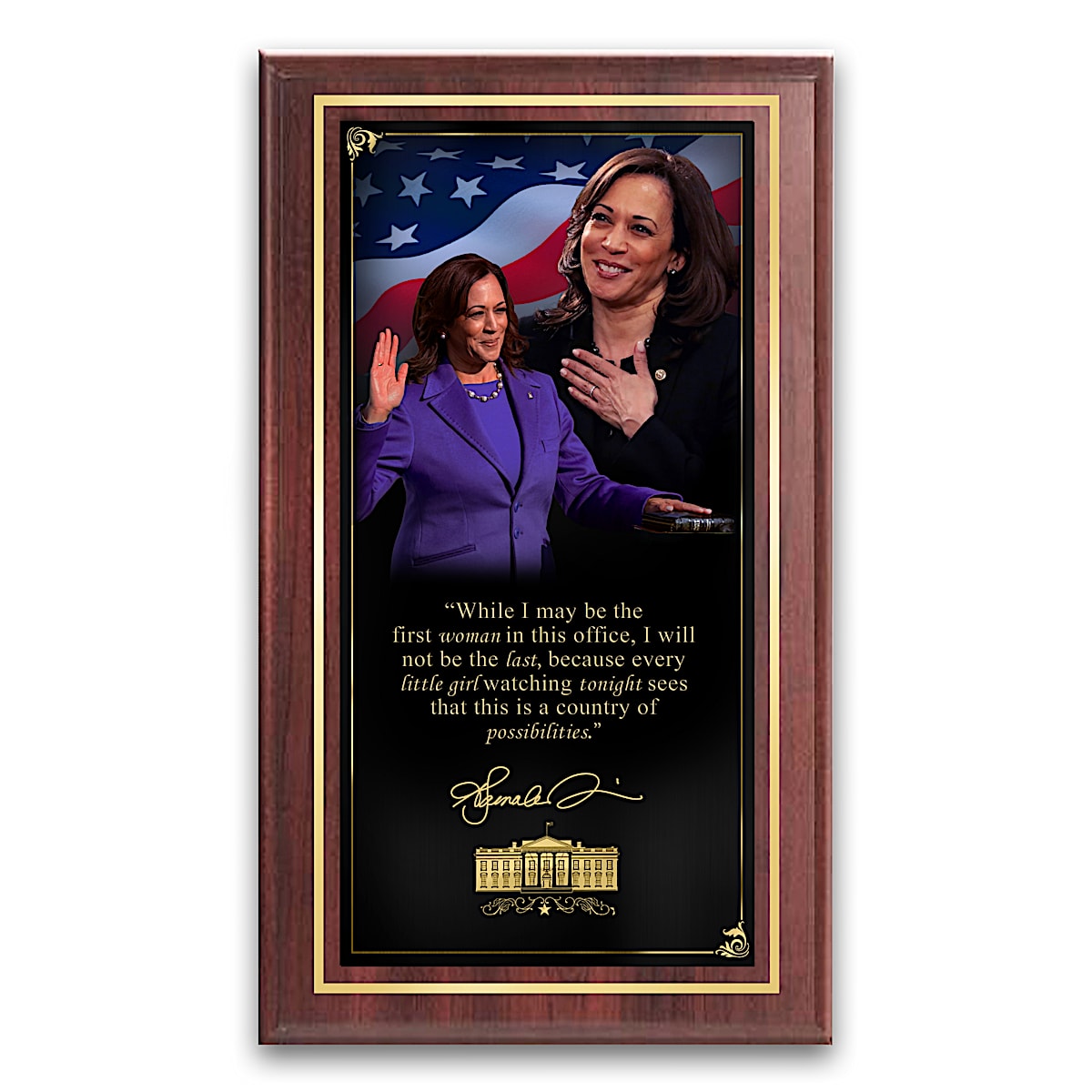 Madam Vice President Wall Decor Featuring A Plate Mounted On A Wooden ...