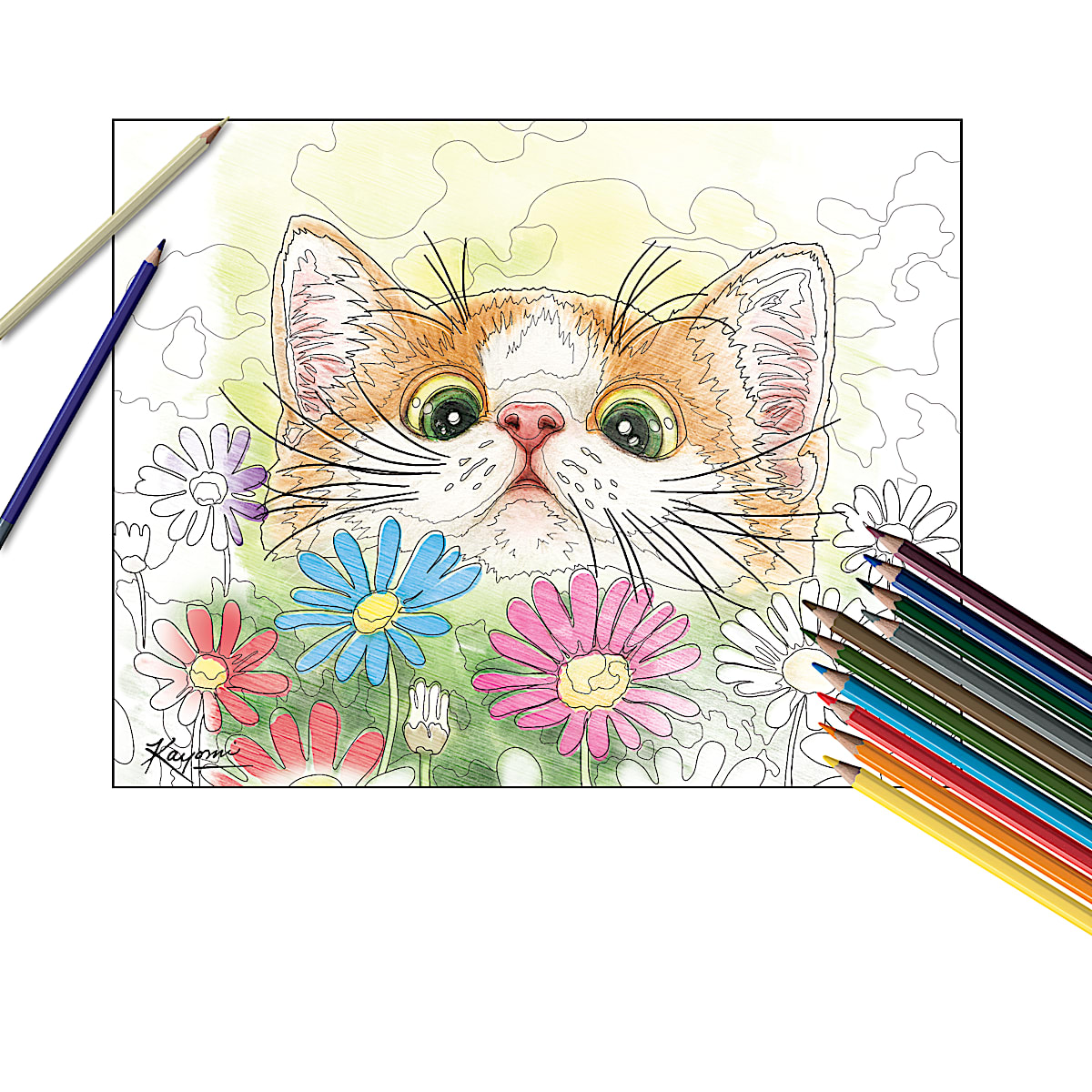 Kayomi Harai Playful Kittens Coloring Kit Collection